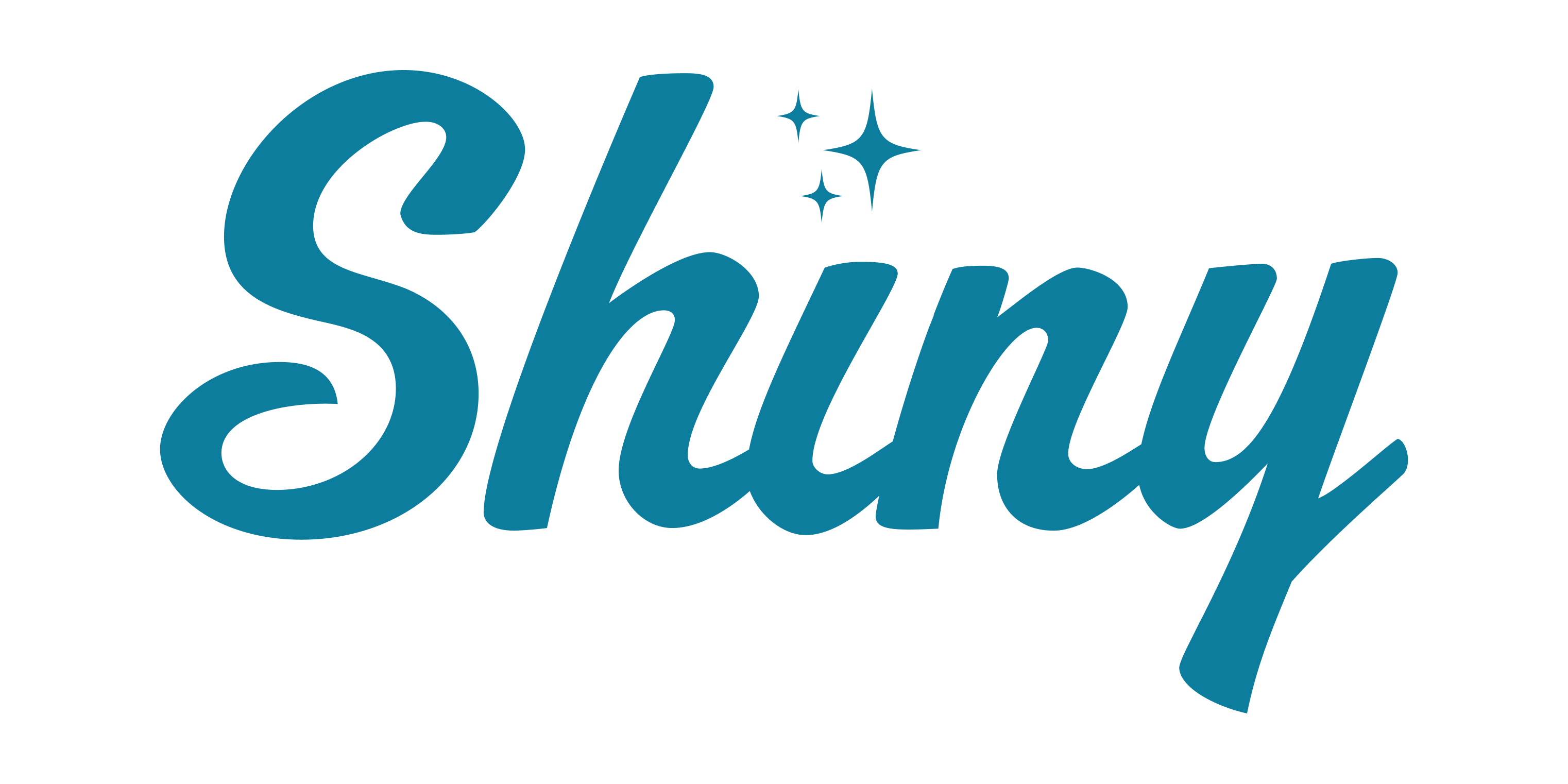 Shiny Logo